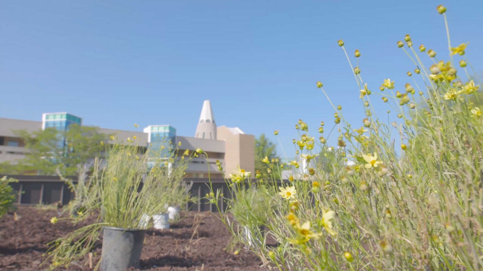 USI recognizes faculty award recipients at Fall Meeting - University of ...