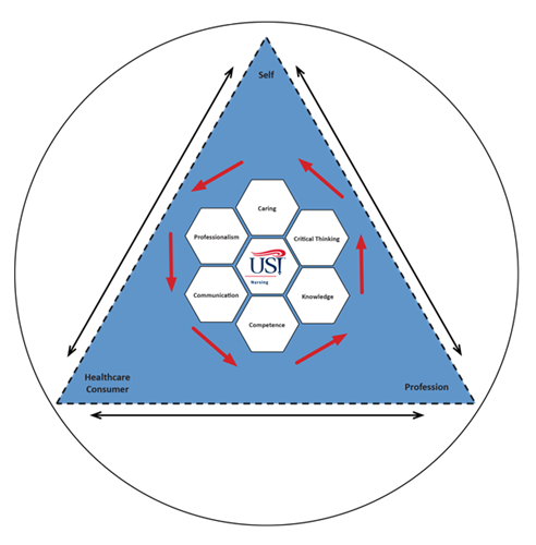 Nursing Conceptual Framework Model Nursing Conceptual Framework Model