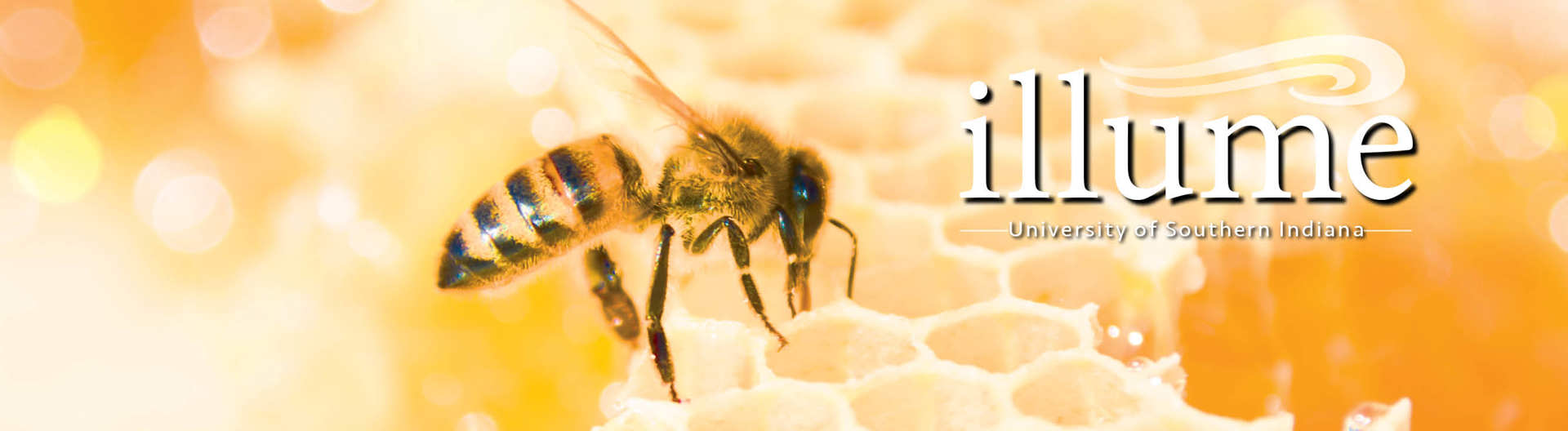 illume Magazine - University of Southern Indiana