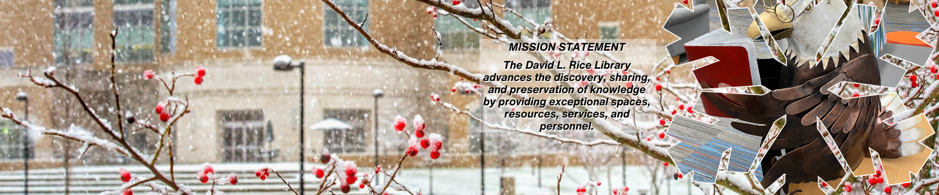 David L. Rice Library - University of Southern Indiana