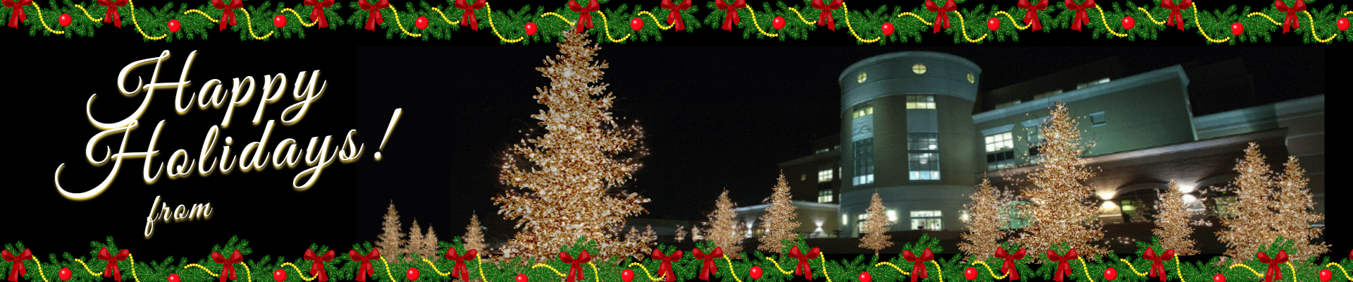 David L. Rice Library - University of Southern Indiana