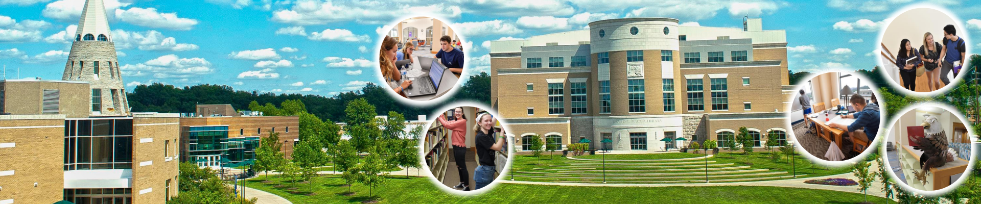 David L. Rice Library - University of Southern Indiana