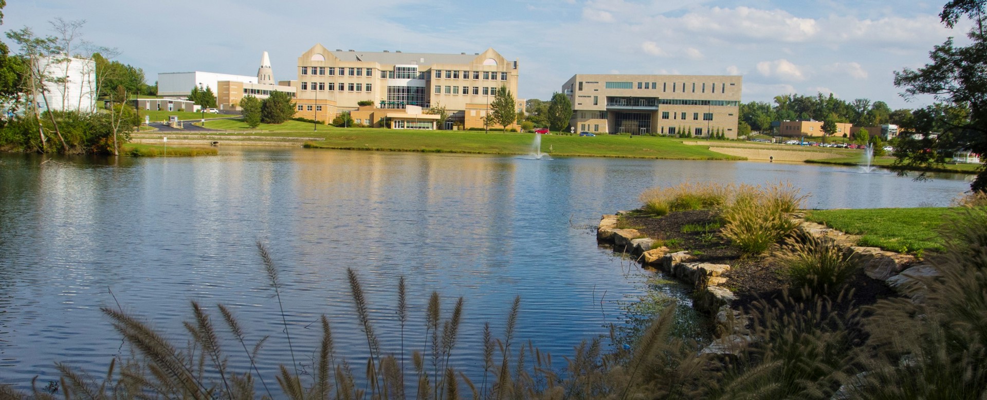 Political Science, Public Administration and Philosophy | Bachelor ...